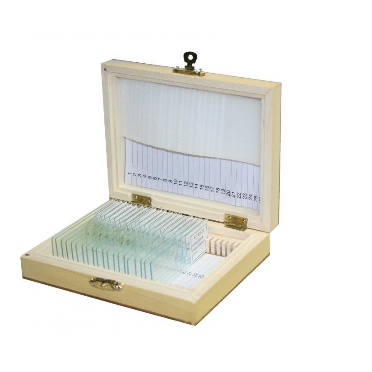 Common Interest Prepared Slide Set - Slide Sets - Slides - Microscopy