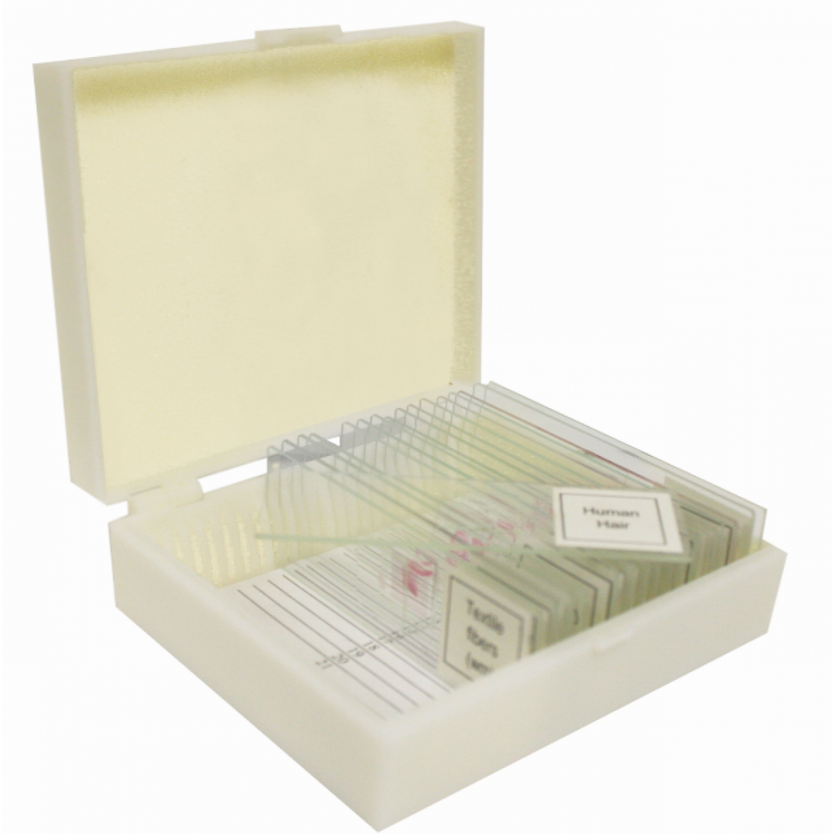 Forensics Prepared Slide Set - Slide Sets - Slides - Microscopy