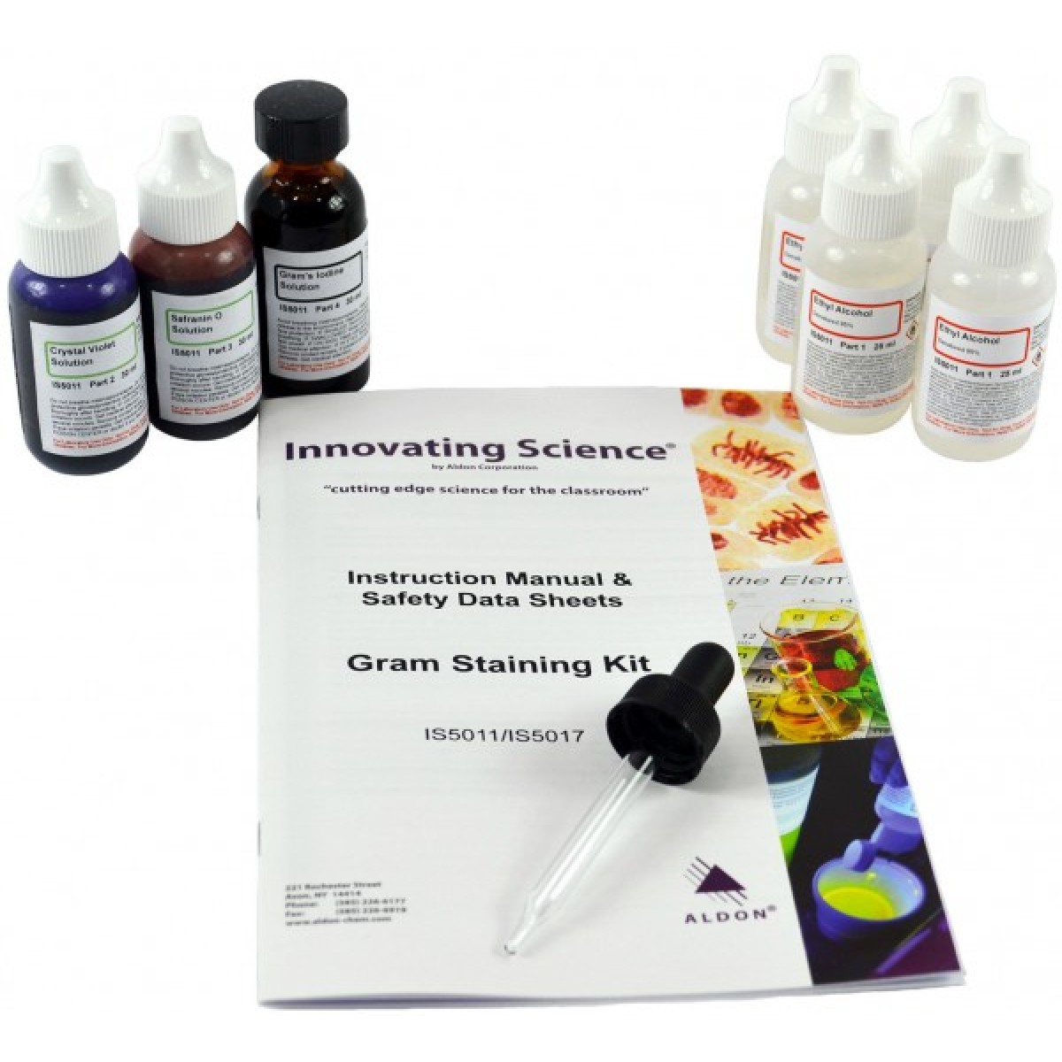 Gram's Stain Kit - Slide Making - Slides - Microscopy