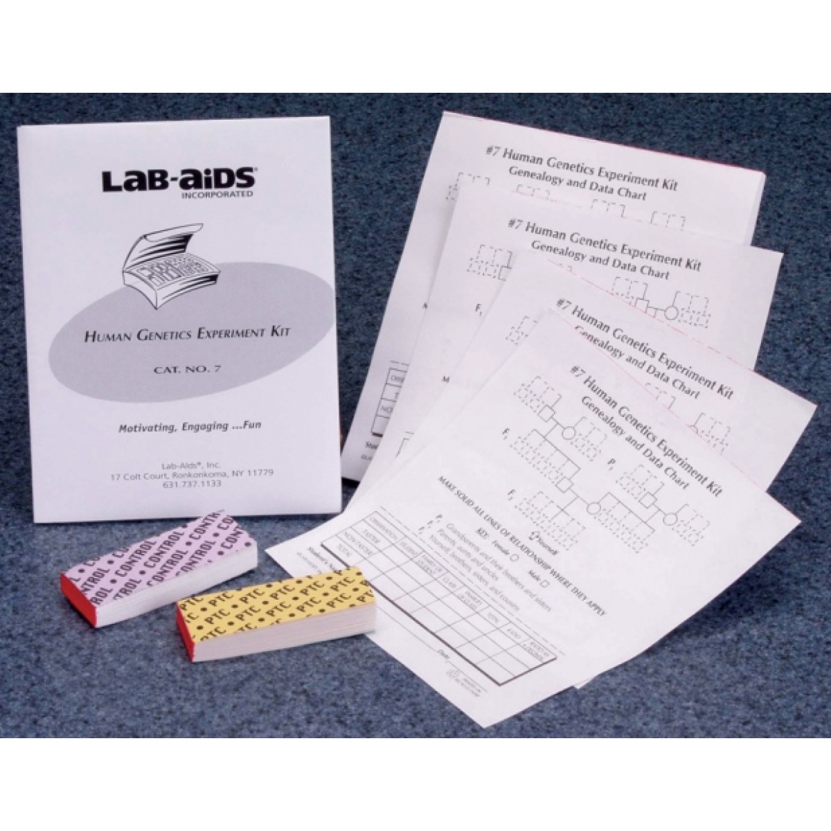 Human Genetics Experiment Kit - Genetics - Biology