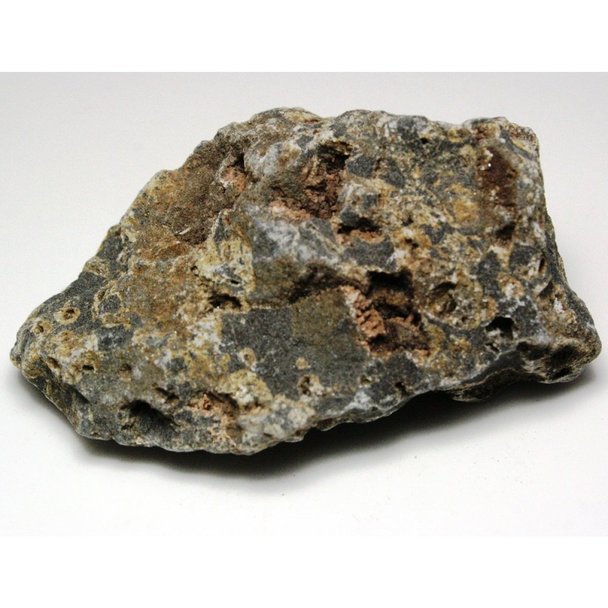 Volcanic Breccia Rock