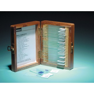 Prepared Slide Set - Slide Sets - Slides - Microscopy